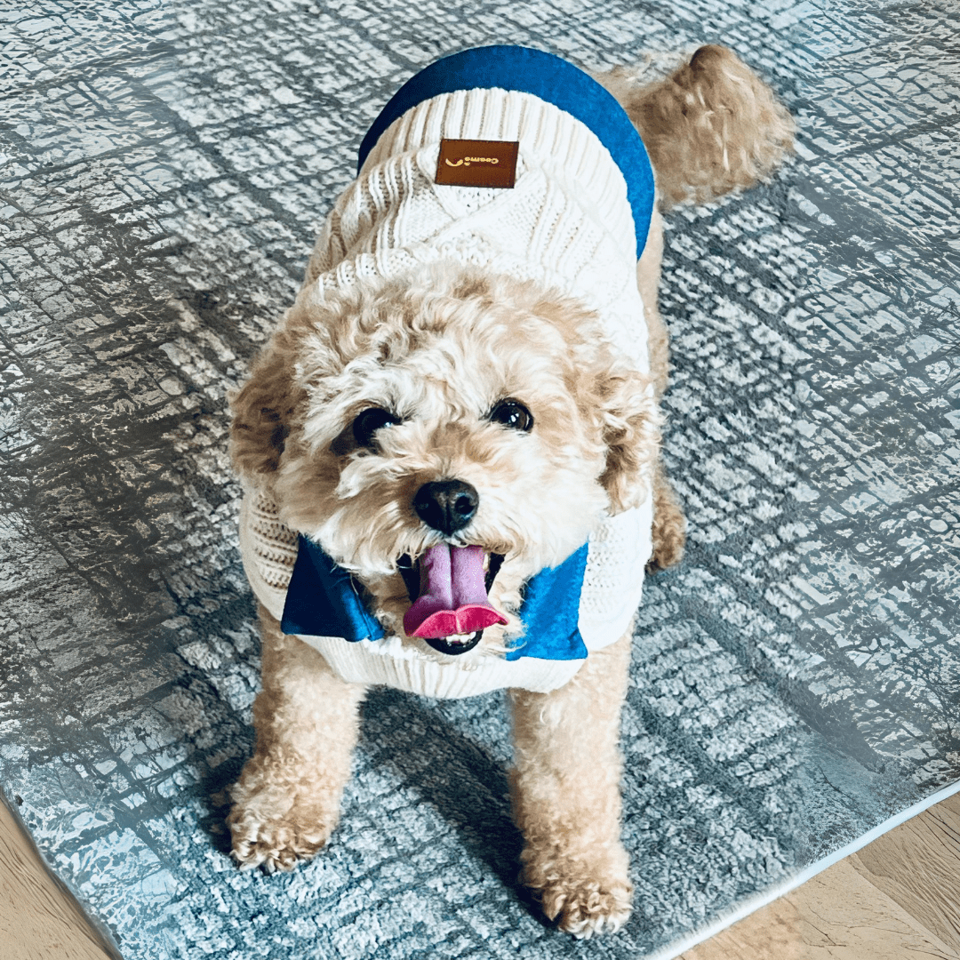 Cooper&Cosmo Fashion Breathable Cotton Dog Sweater, Beige, Small, 1 ...