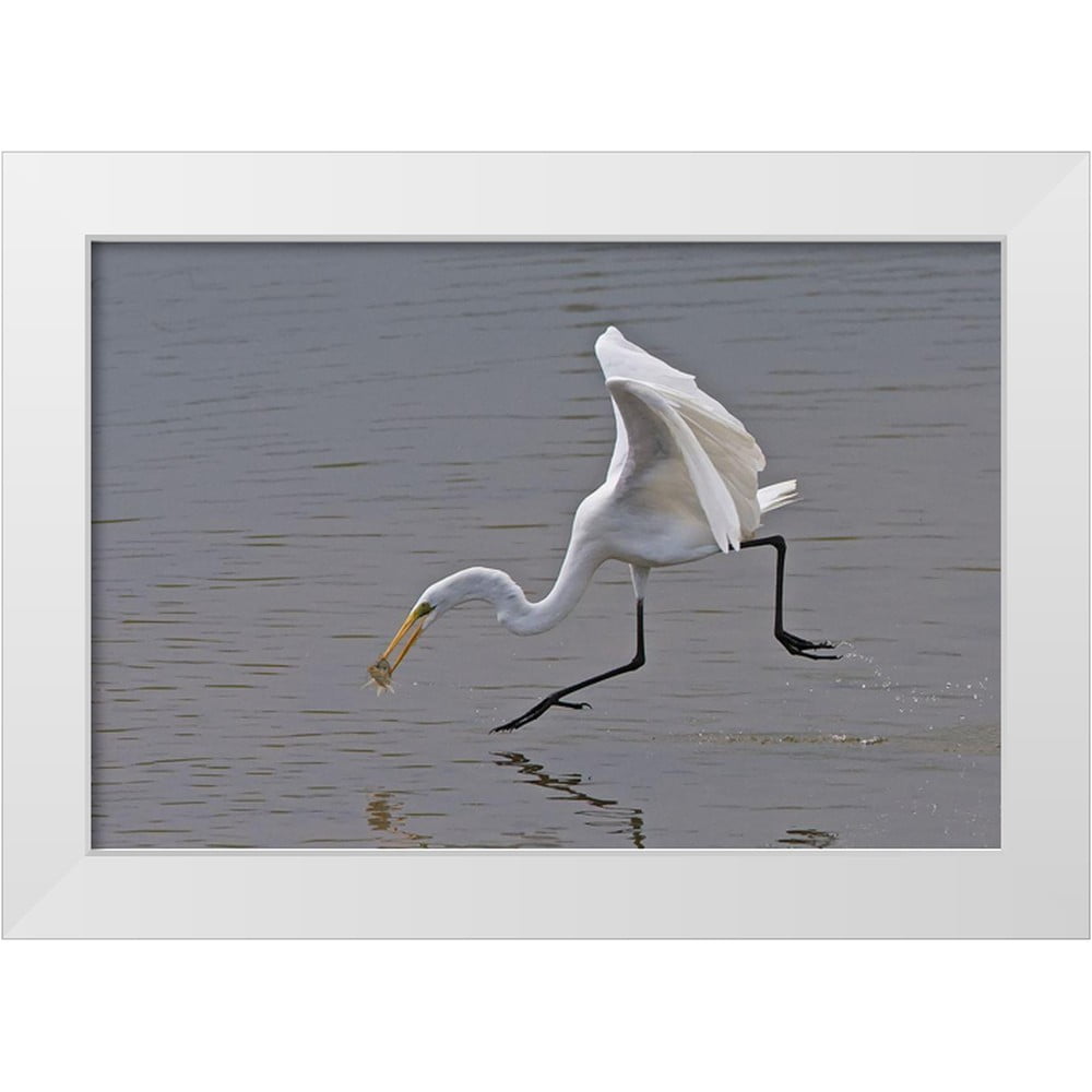 Cooper, Ray 14x11 White Modern Wood Framed Museum Art Print Titled ...