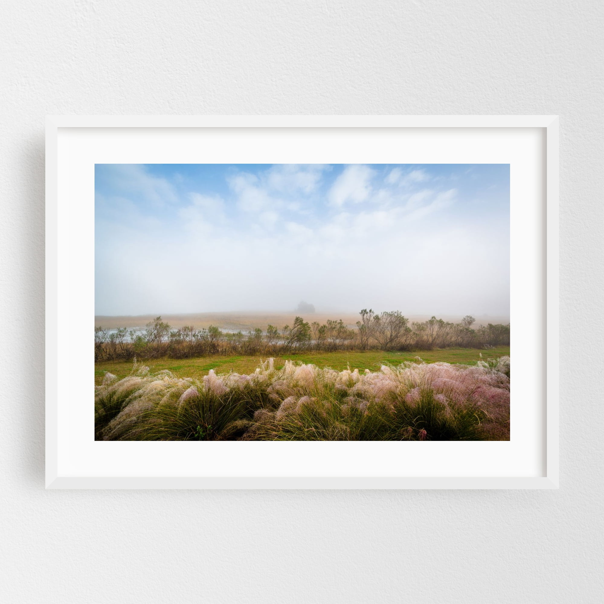 Cooper River Wetland, Charleston 02 - Mount Pleasant South Carolina ...