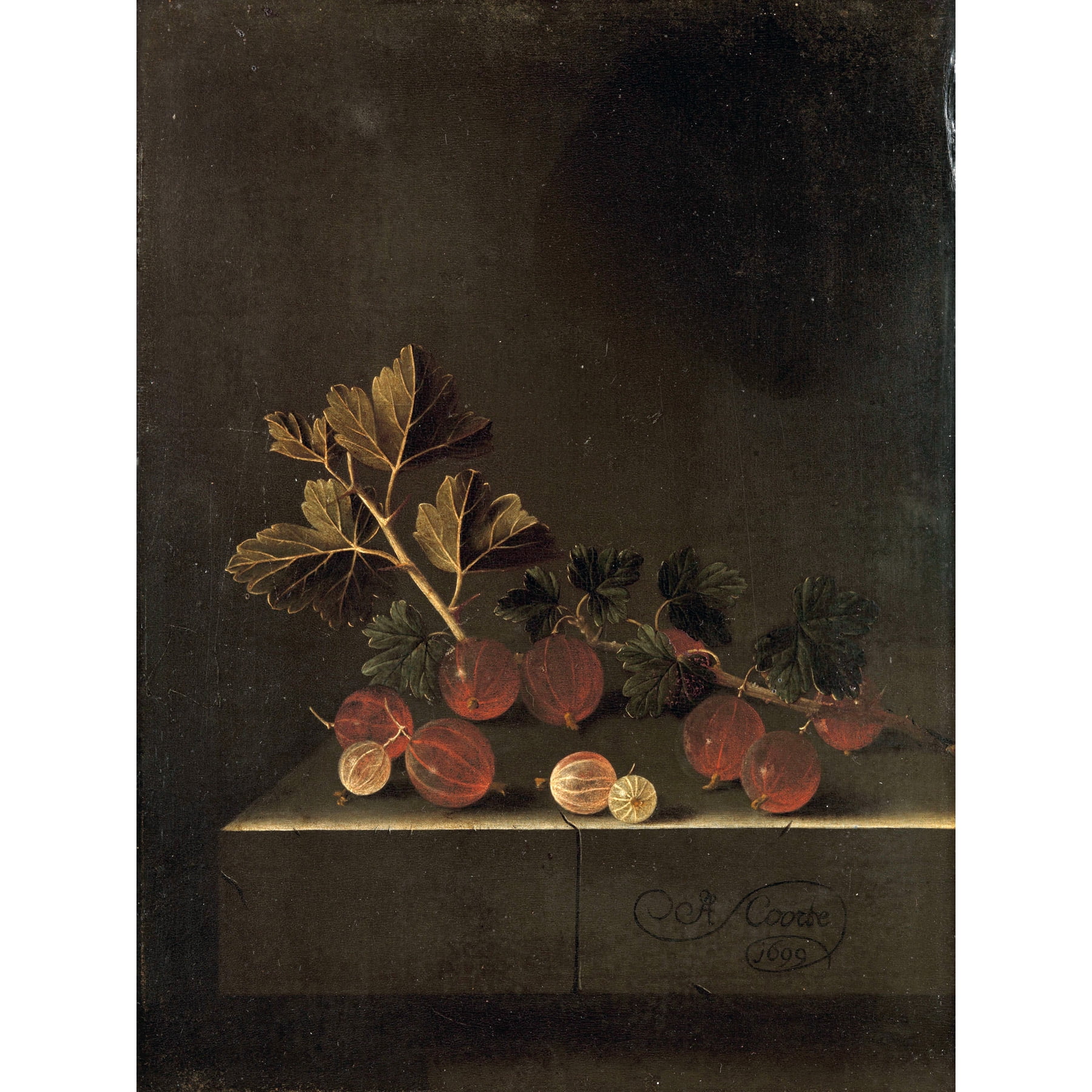 Coorte Sprig Gooseberries On Stone Plinth Painting Extra Large XL Wall ...