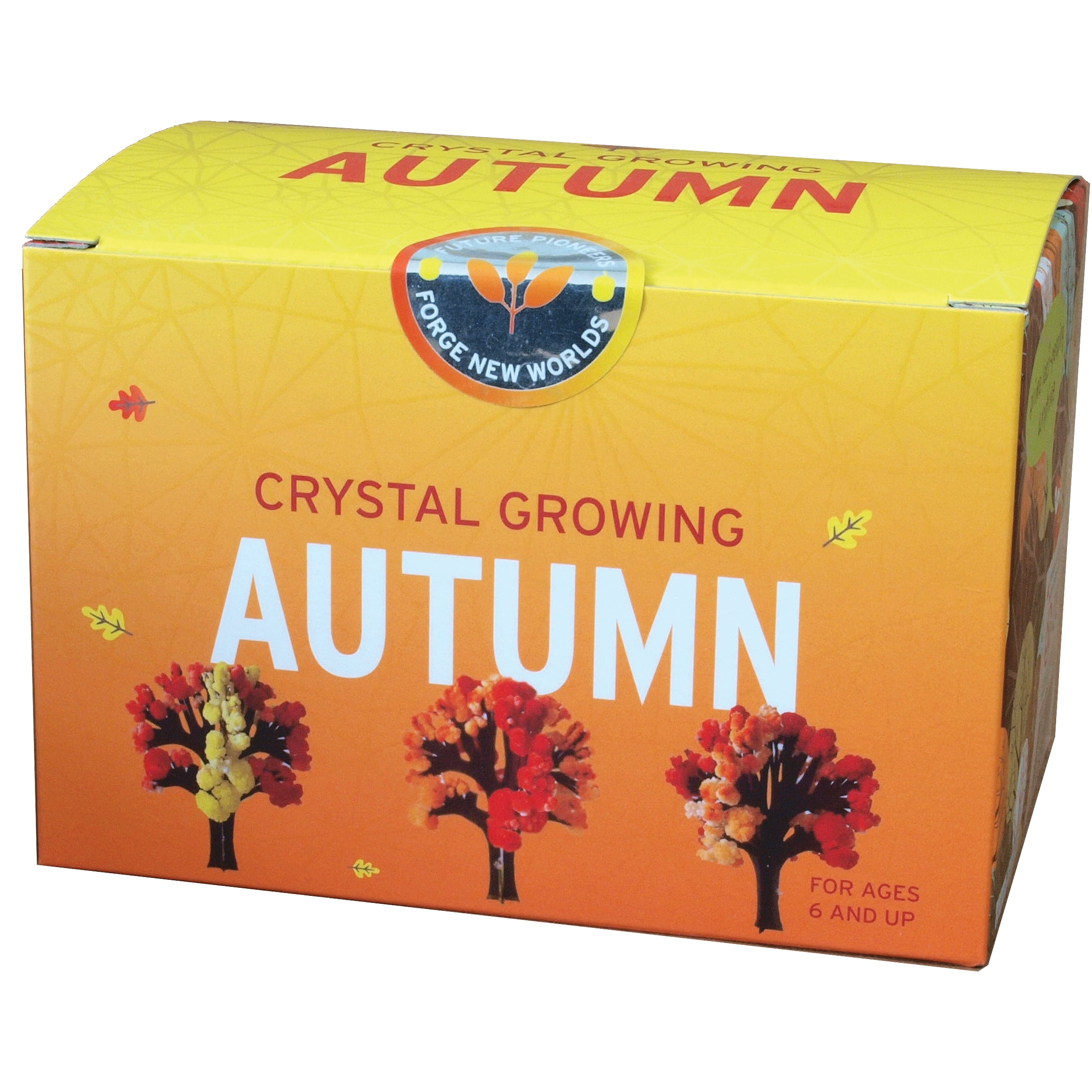 Copernicus Crystal Growing AUTUMN Kit - Walmart.com