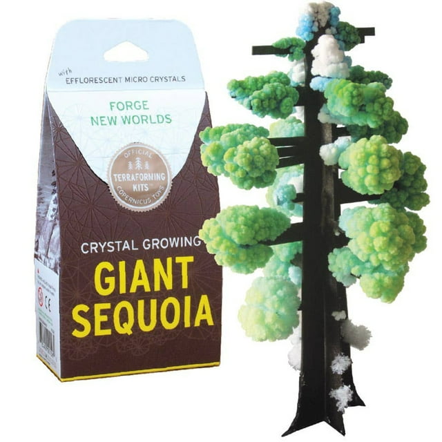 Copernicus Toys - Crystal Growing Giant Sequoia - Walmart.com