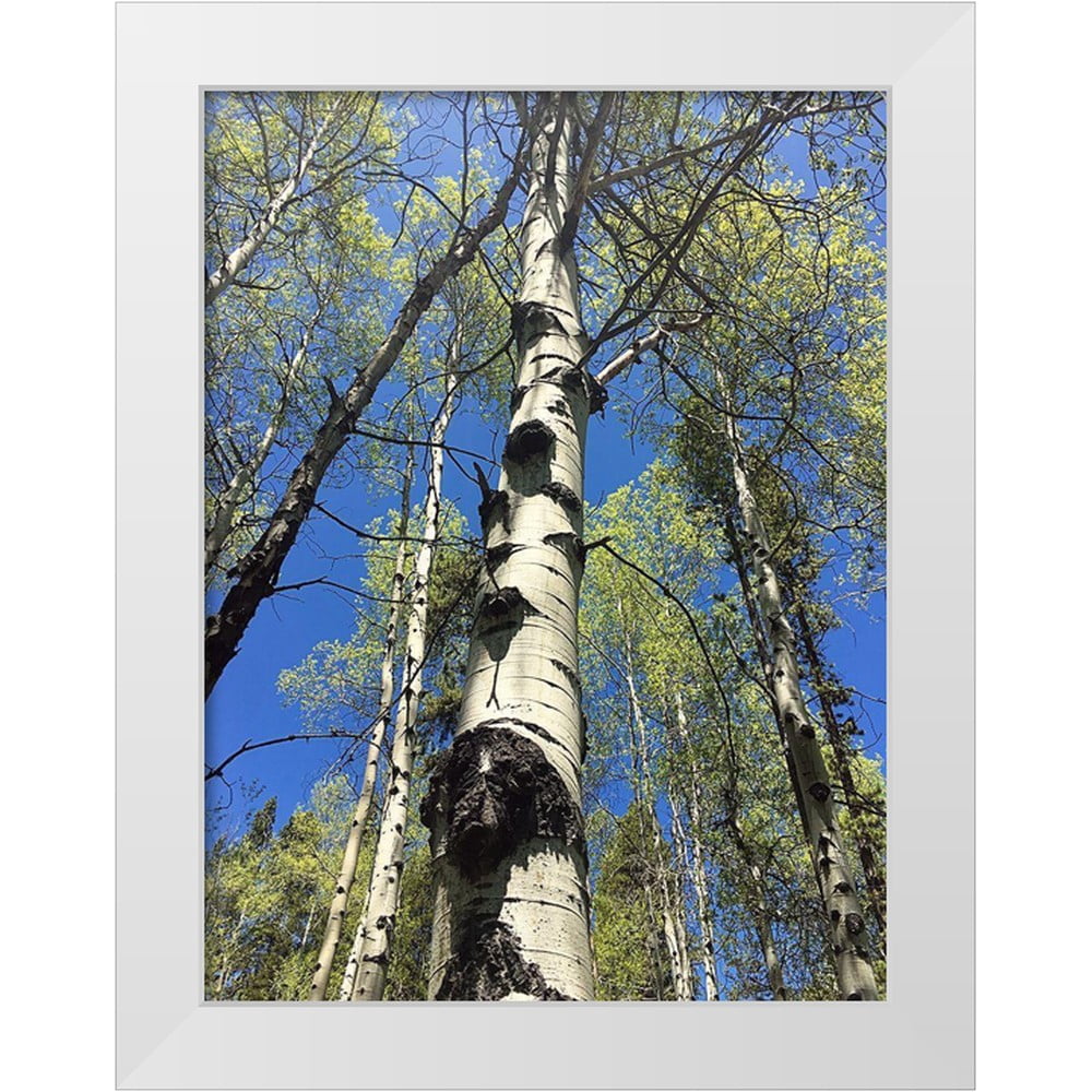 Coppel, Anna 19x24 White Modern Wood Framed Museum Art Print Titled ...