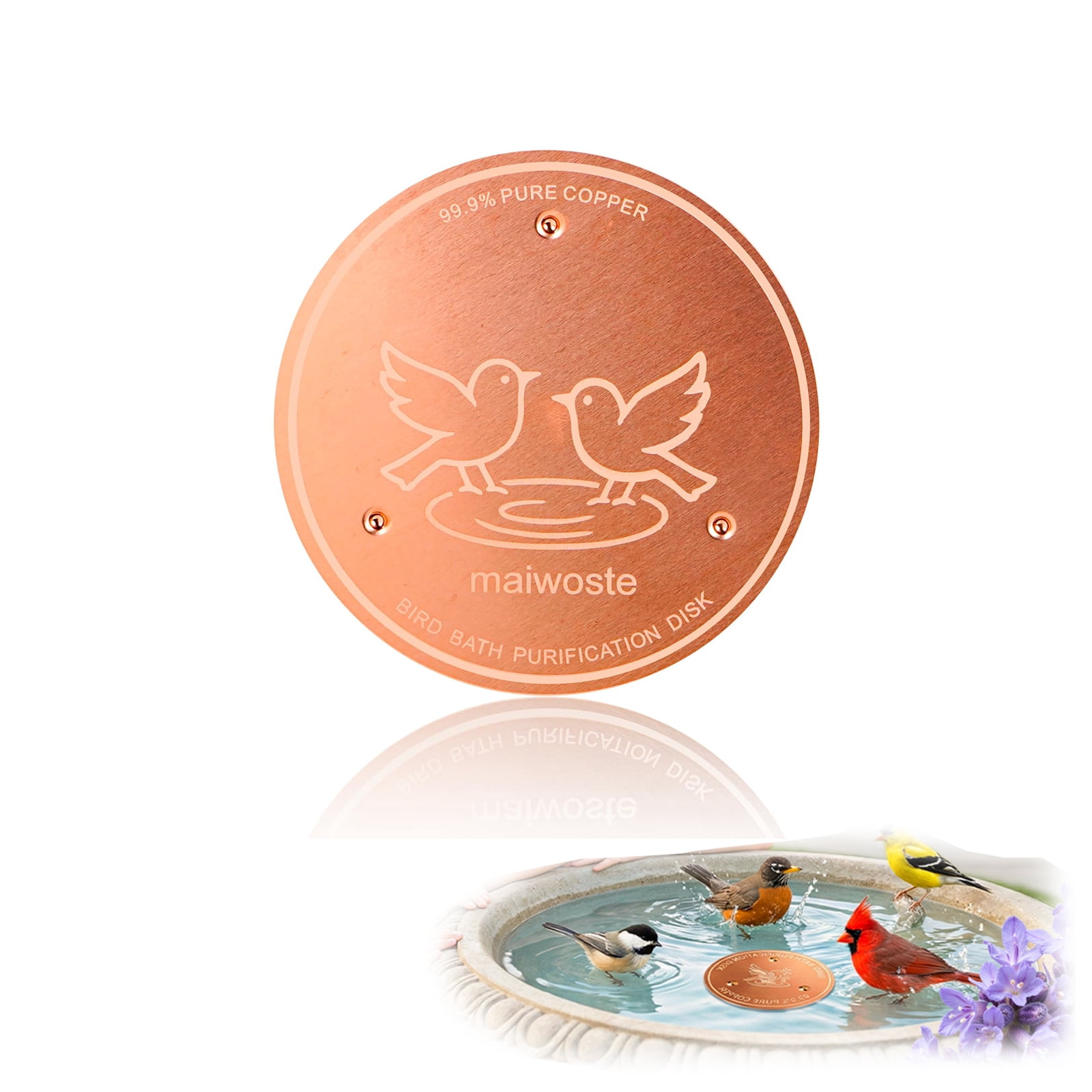 Copper Disc for Bird Bath, 0.6mm Reinforced 99.99% Pure Copper Cleaning ...