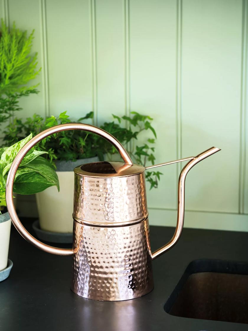 Large Copper Indoor Watering Can with Small Spout, Made of Steel Metal ...
