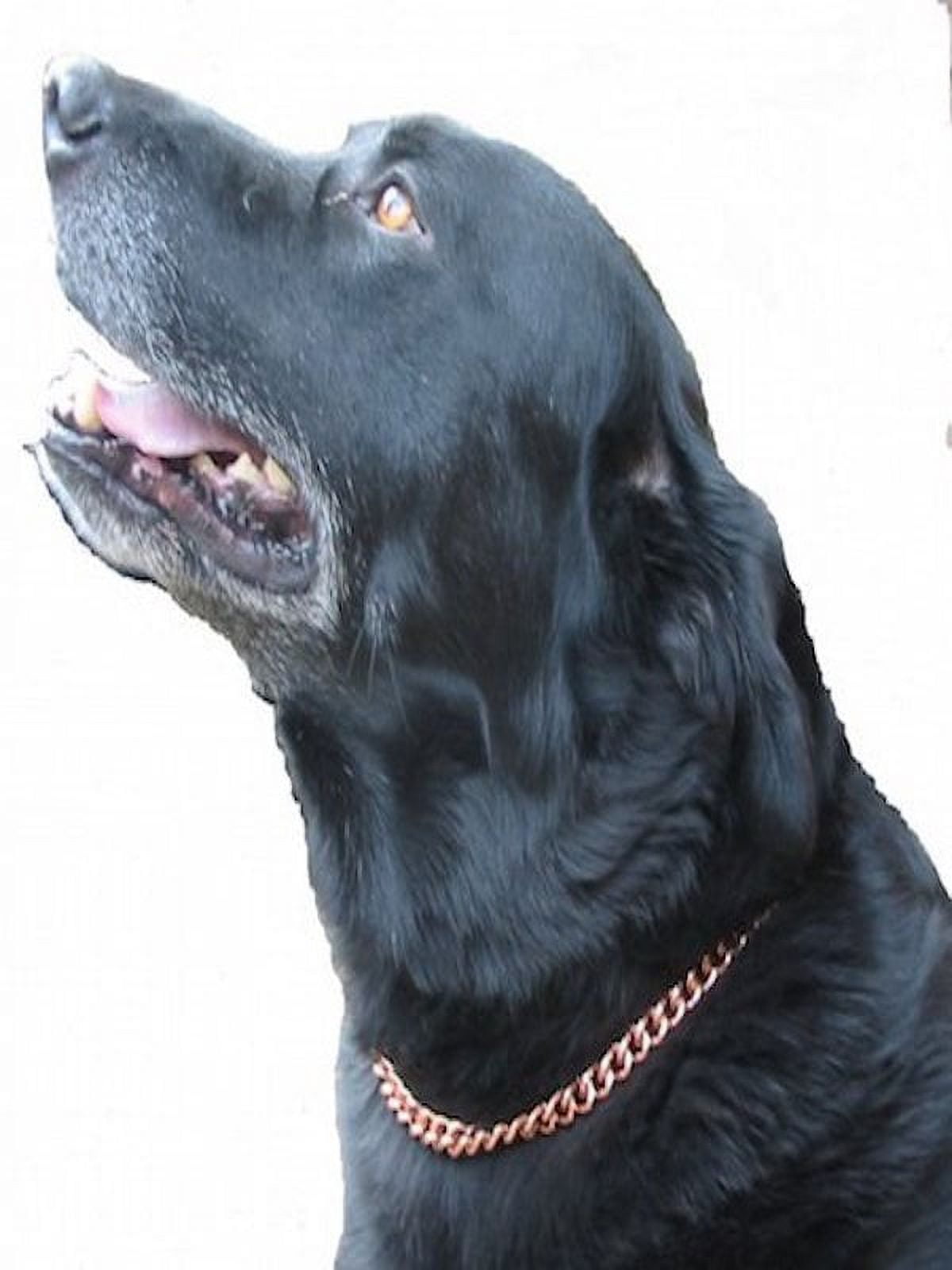 Copper Magnetic Therapy Dog Collars Made to measure in Solid Copper ...