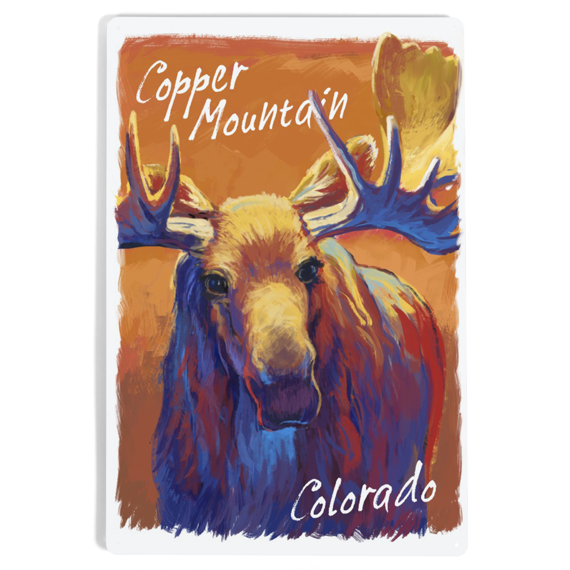 Copper Mountain, Colorado, Moose, Vivid (12x18 Aluminum Art, Indoor ...
