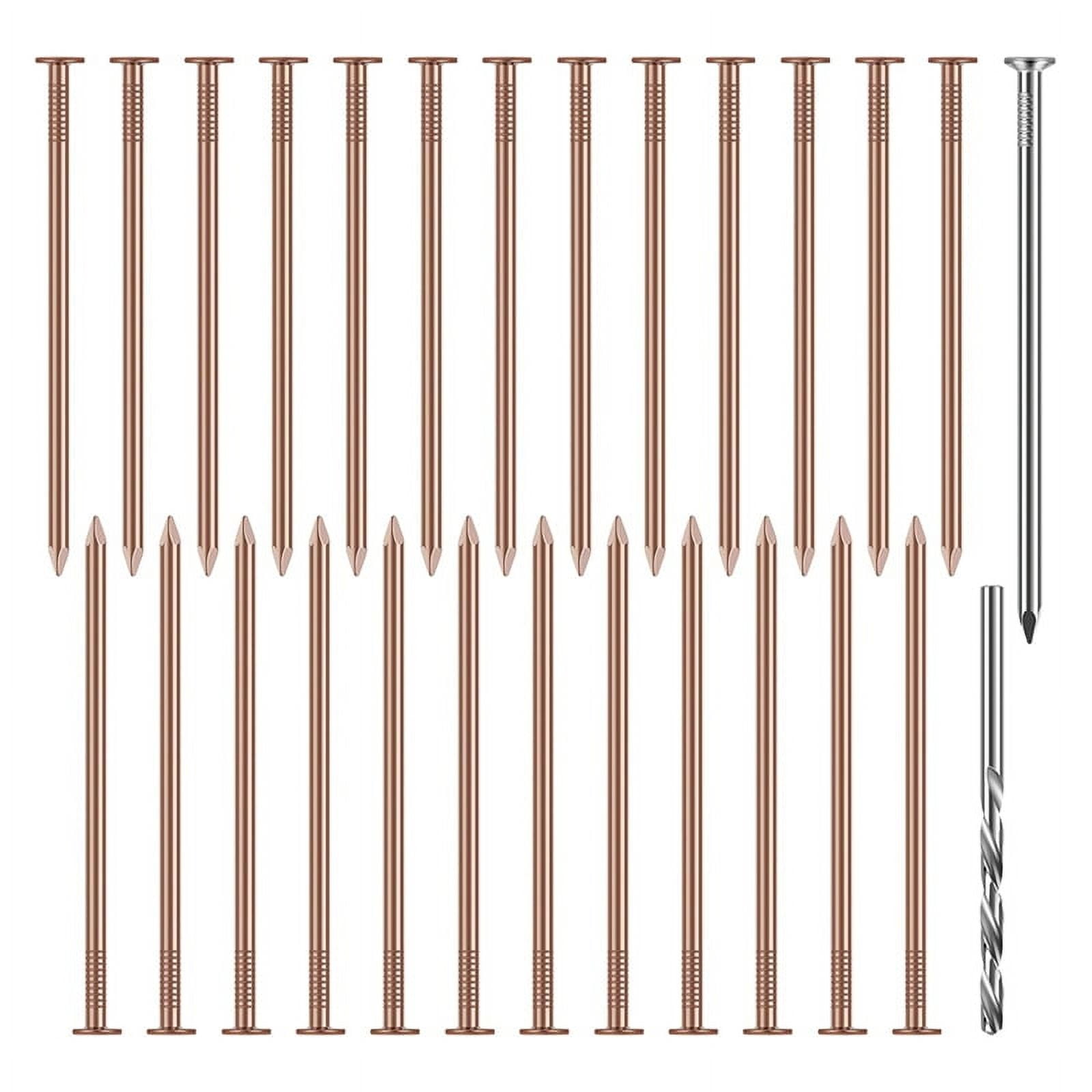 Copper Nails Kit, 3.5 Inch Stump Removal Spikes,Pure Copper Nails ...