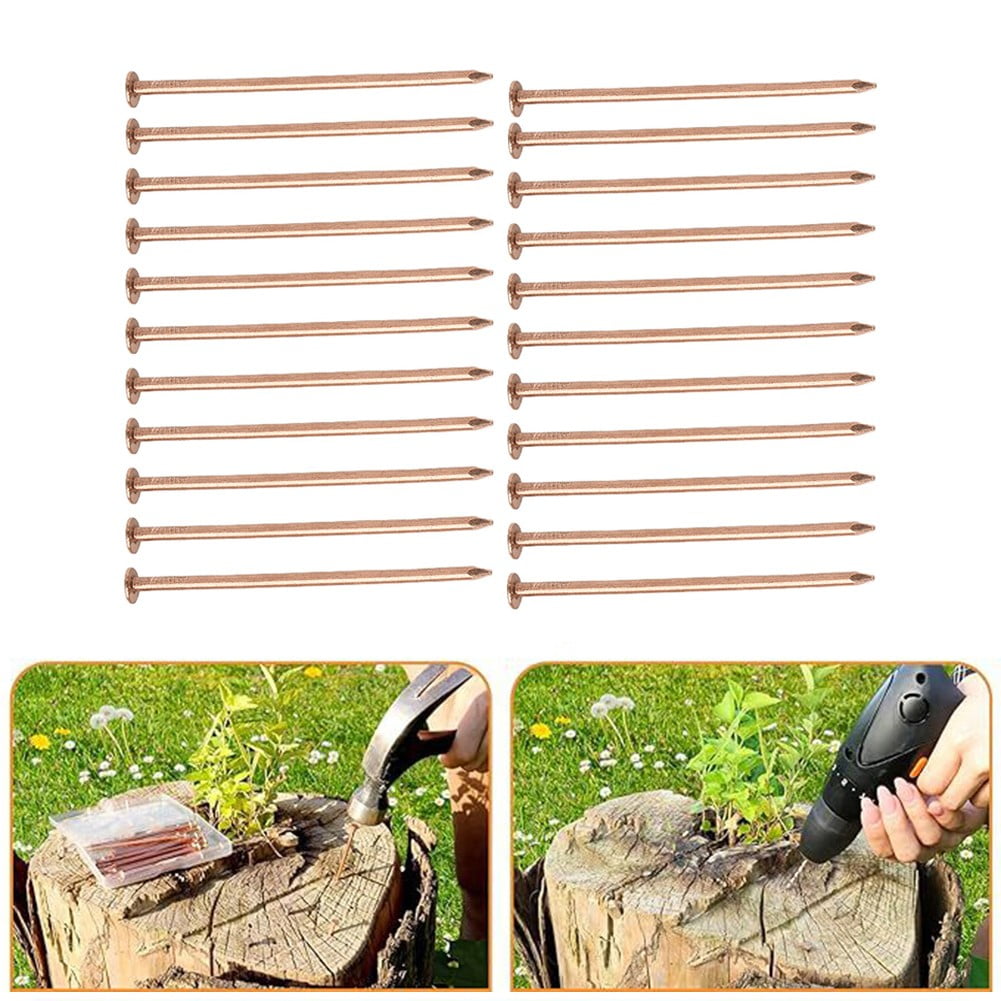 Copper Nails for Killing Trees Stump Root,Stump Removal Spikes Hardware ...