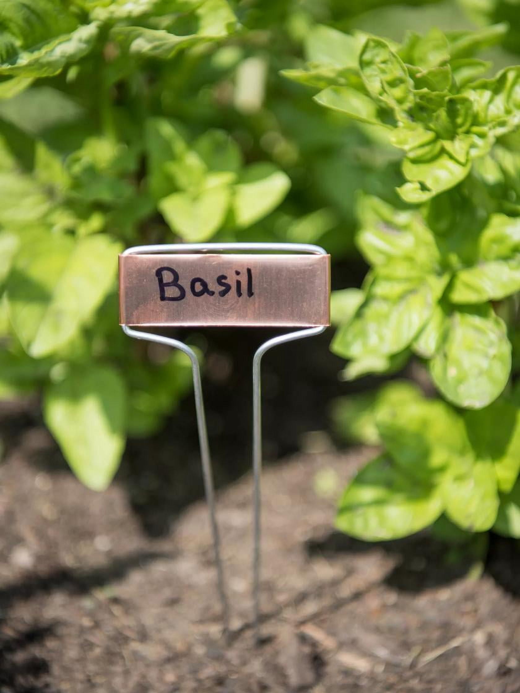 Copper Perennial Markers Set of 10 - Walmart Business Supplies