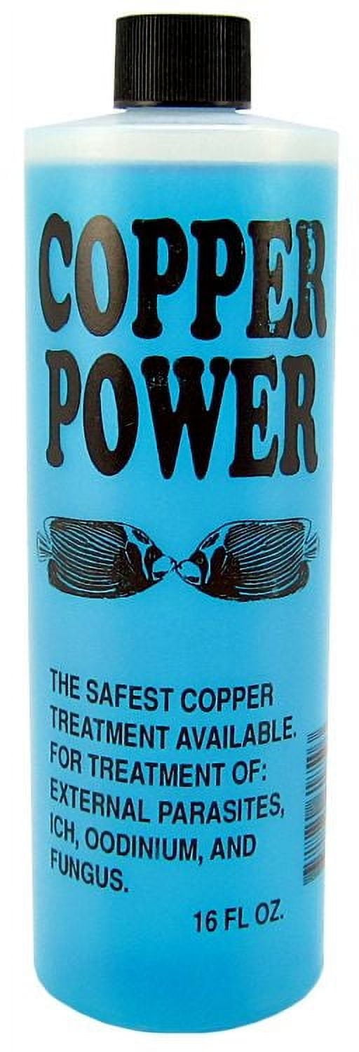 Copper Power Marine Copper Treatment - 16 oz - Walmart.com