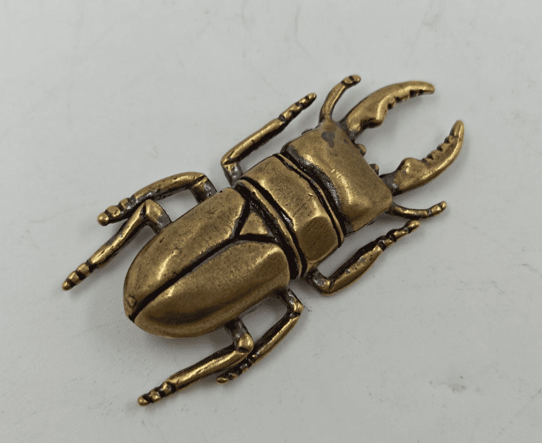 Copper beetle Statue, Carved Fengshui Animal cute beetle Antique ...