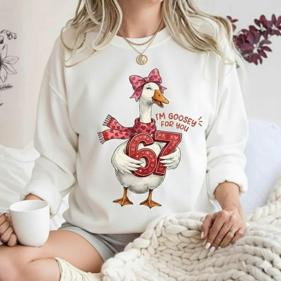 Coquette Valentine Goose Sweatshirt, Fun 67 Valentine Sweatshirt, Cute ...