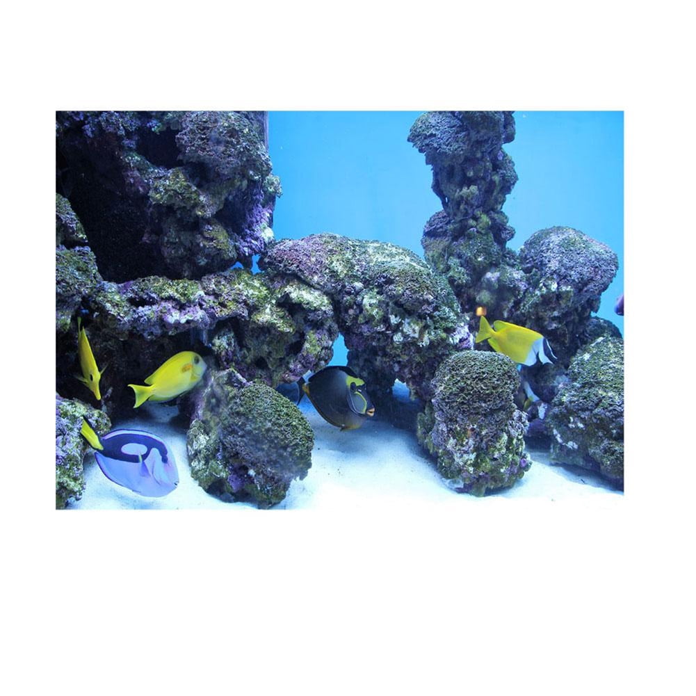 Coral Aquarium Background Underwater Poster Fish Tank Wall Decorations ...