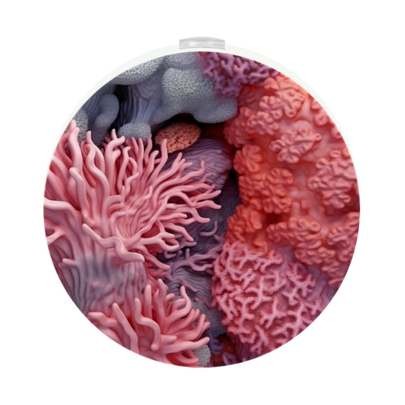 Coral Circular Induction Night Light Set - LED Chip, ABS Material ...