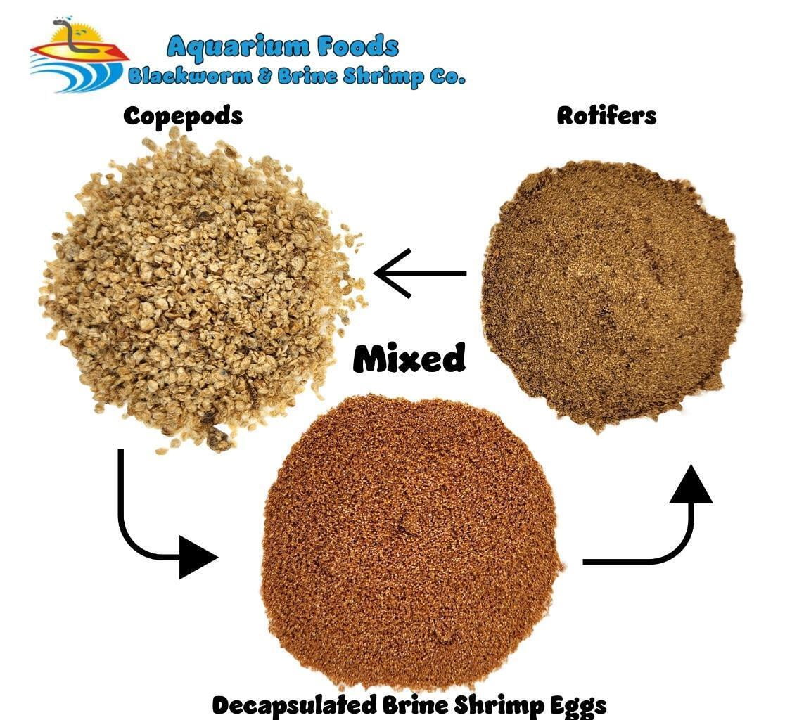 Coral Food Blend, Rotifers - Copepods - Decapsulated Artemia Cysts…2oz ...