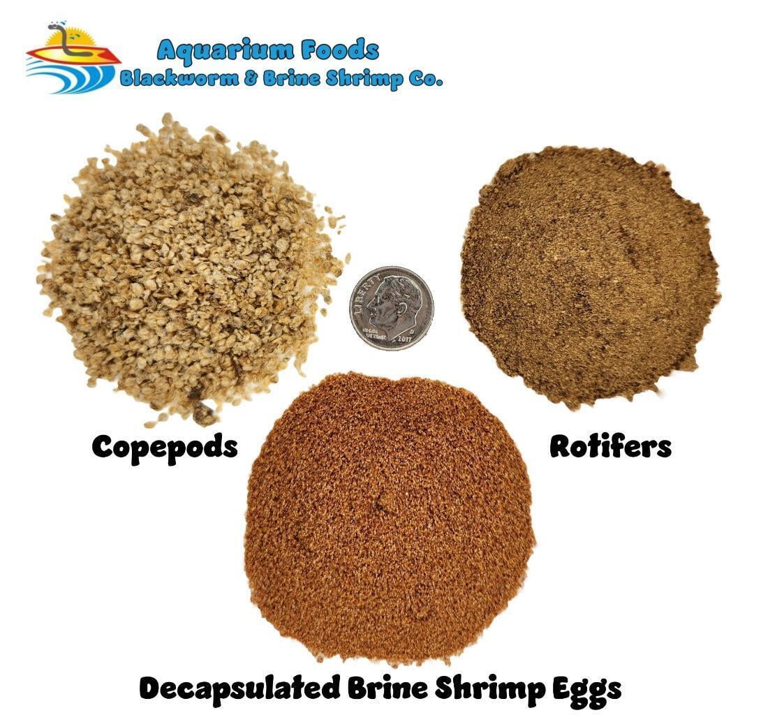 Coral Food Variety Pack - Decapsulated Brine - Rotifers - Copepods…4oz ...