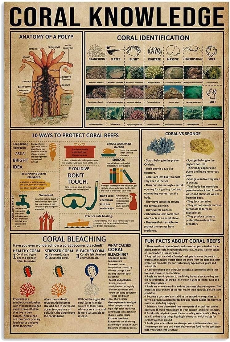 Coral Knowledge Posters Metal Signs Wall Decor Coral Identification ...