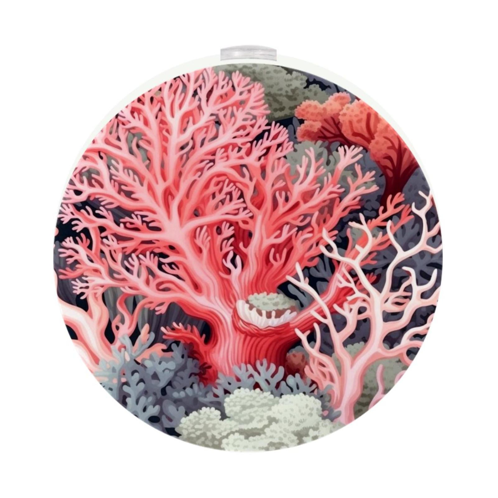 Coral LED Circular Night Light Set - Induction Light Control, Room ...