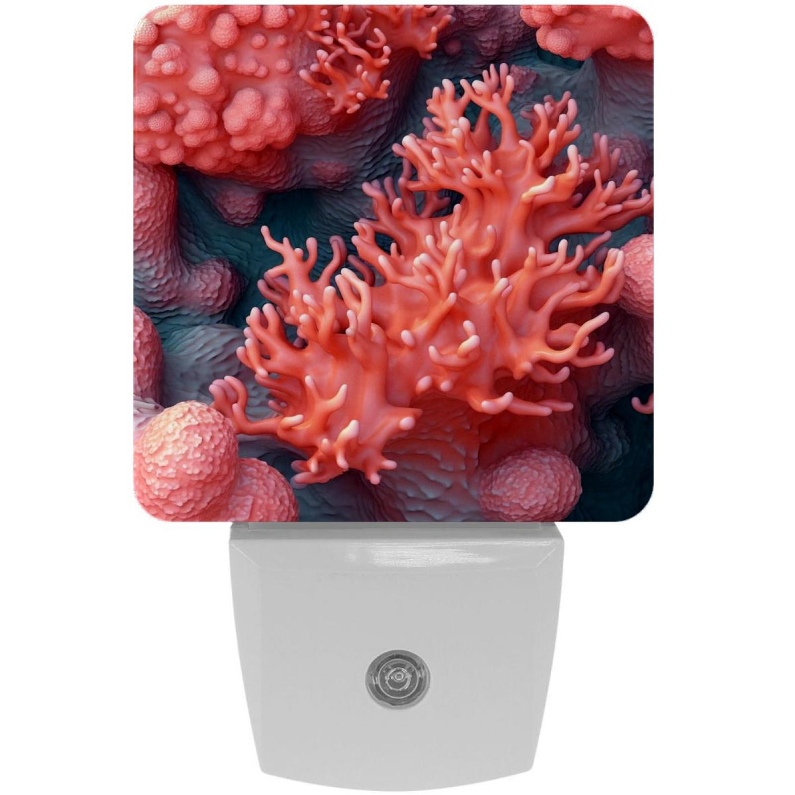 Coral LED Square Night Lights - Modern Design, Energy Efficient Indoor ...
