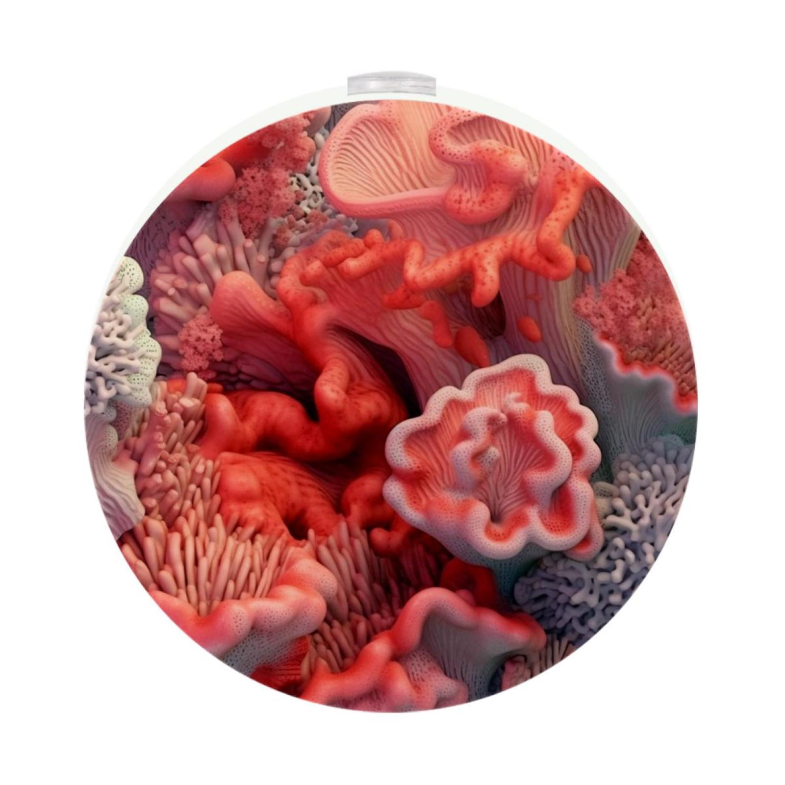 Coral LED Wall Night Light 2-Pack, Inductive Light Control, Small LED ...