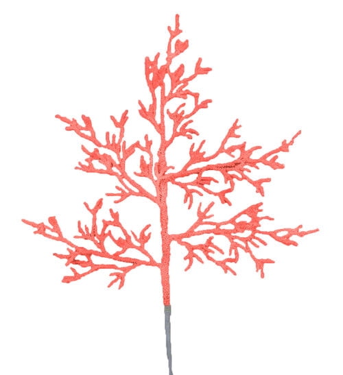 Coral Pick - Walmart.com