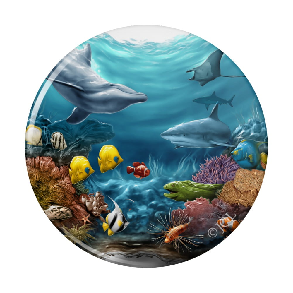 Coral Reef Ocean Scene Dolphin Turtle Shark Stingray Fish Pinback ...