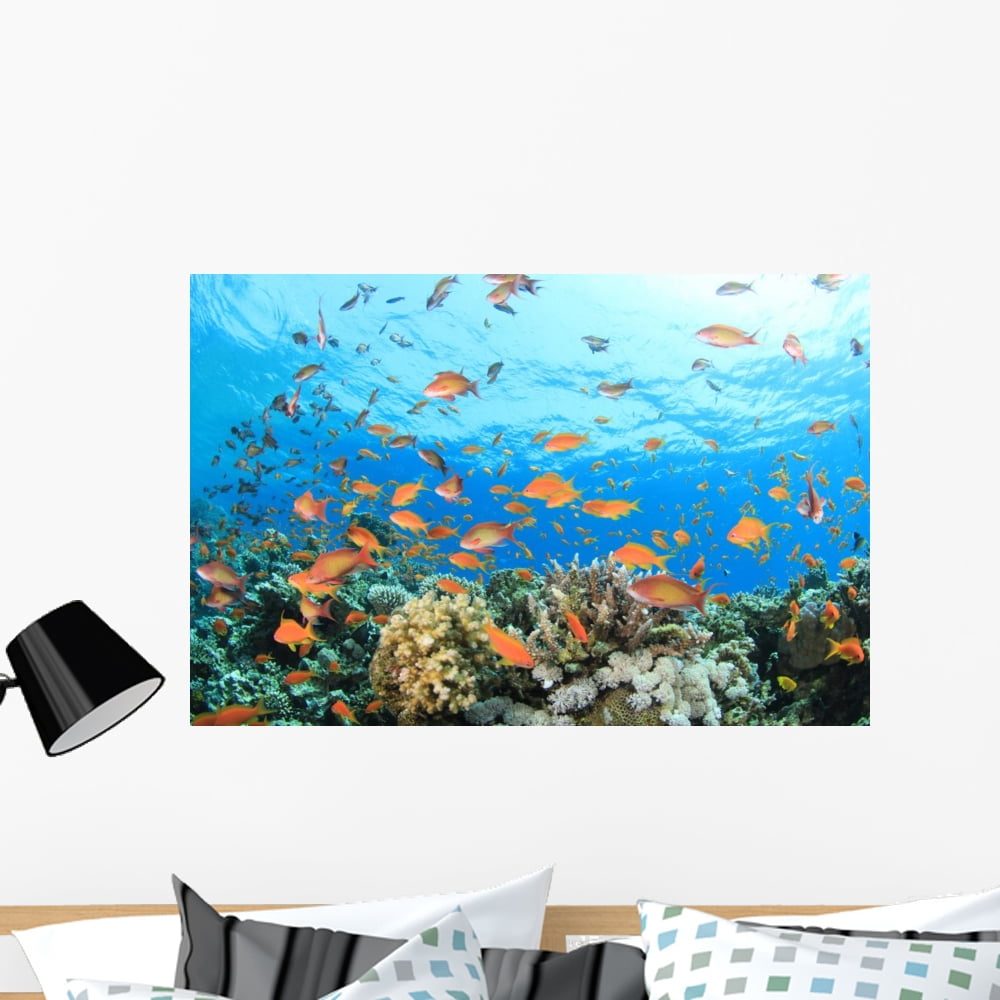 Coral Reef Underwater Wall Decal by Wallmonkeys Peel and Stick Graphic ...