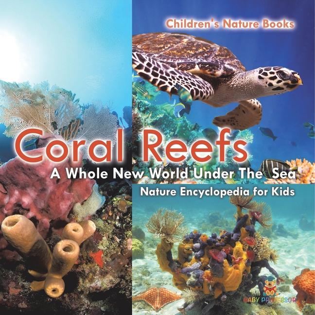 Coral Reefs: A Whole New World Under The Sea - Nature Encyclopedia for ...