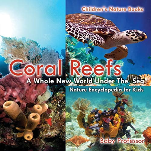 Pre-Owned Coral Reefs: A Whole New World Under The Sea - Nature ...