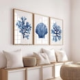 Coral Shell Modern Blue Coastal Wall Art Set 3 Unframed Paper Print ...