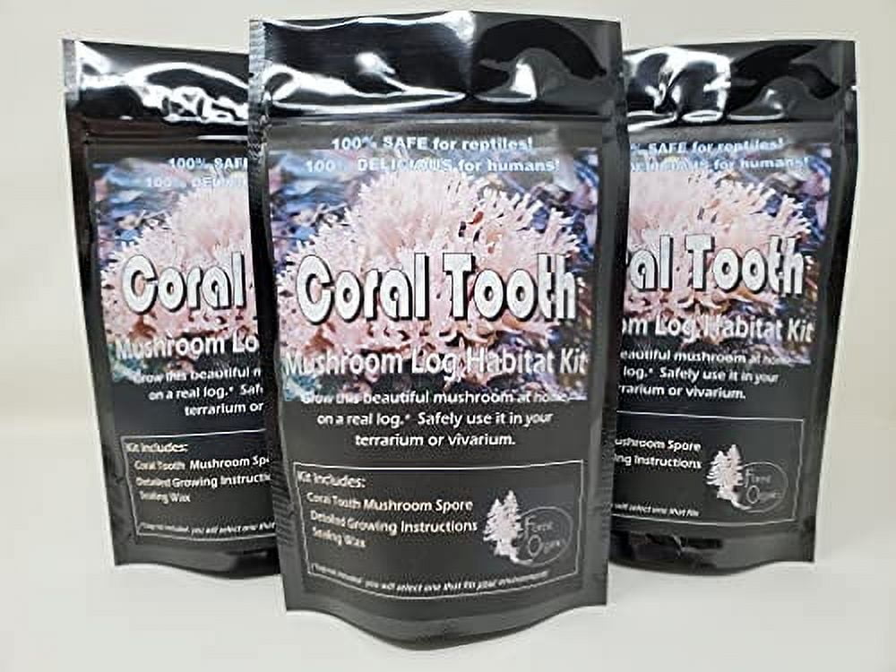 Coral Tooth Mushroom Growing Habitat Kit For Terrariums Grows For Years ...