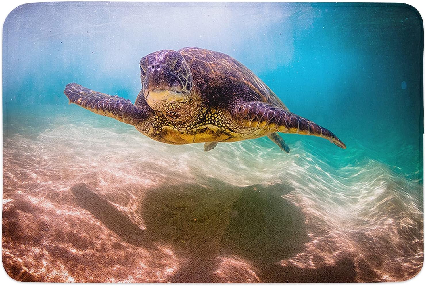 Coral Turtle Door Mat Absorbent Floor Mat Front Doormat for Kitchen ...