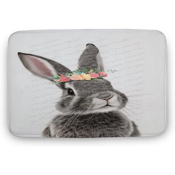 Coral Velvet Door Mat Outdoor Indoor Entrance Doormat Welcome Mat Thick ...