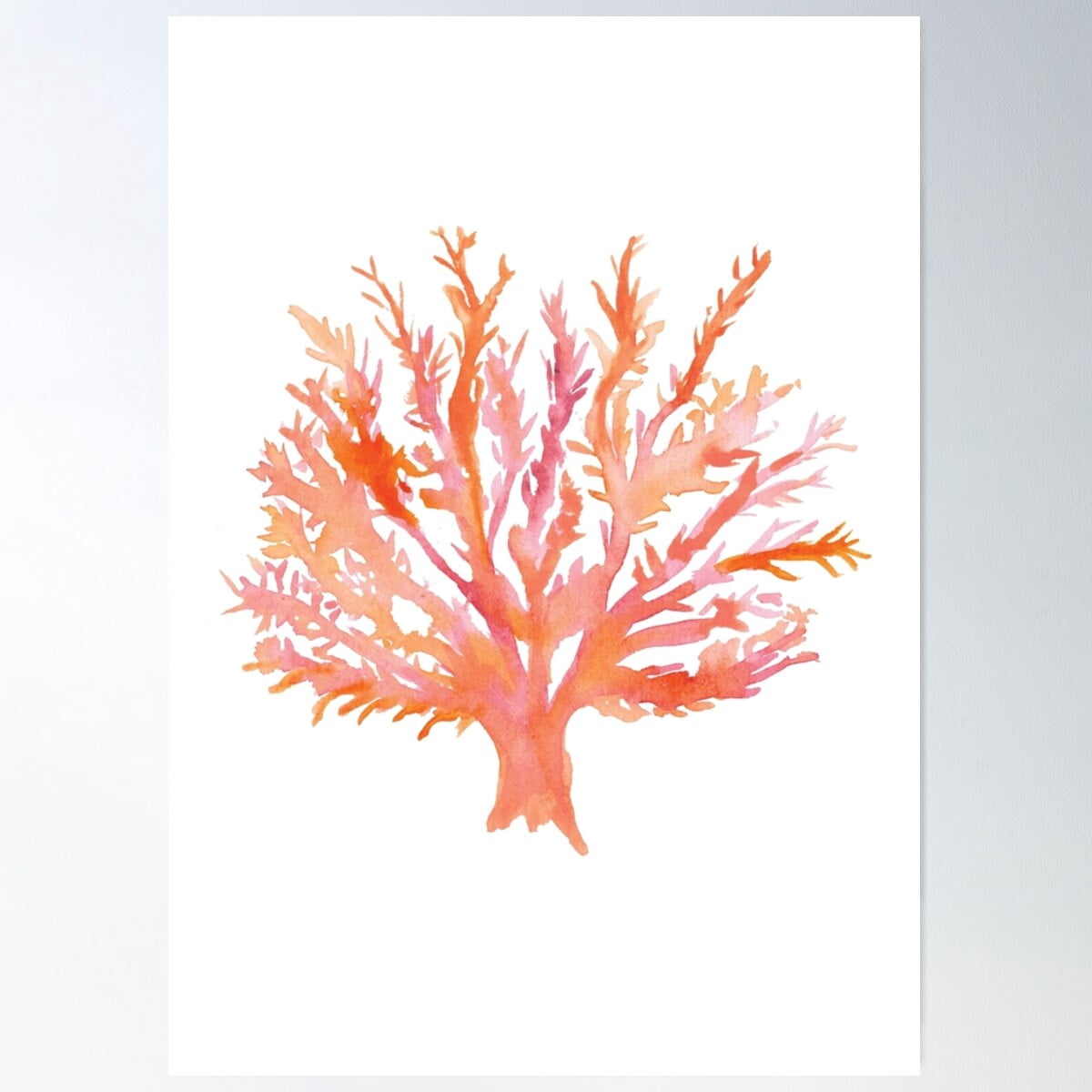 Coral - Watercolour - Great Barrier Reef Poster Wall Art, Modern Wall ...