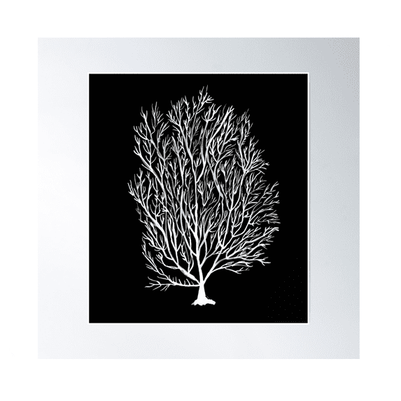 Coral White On Black Poster Wall Art Modern Wall Decor - Walmart.com