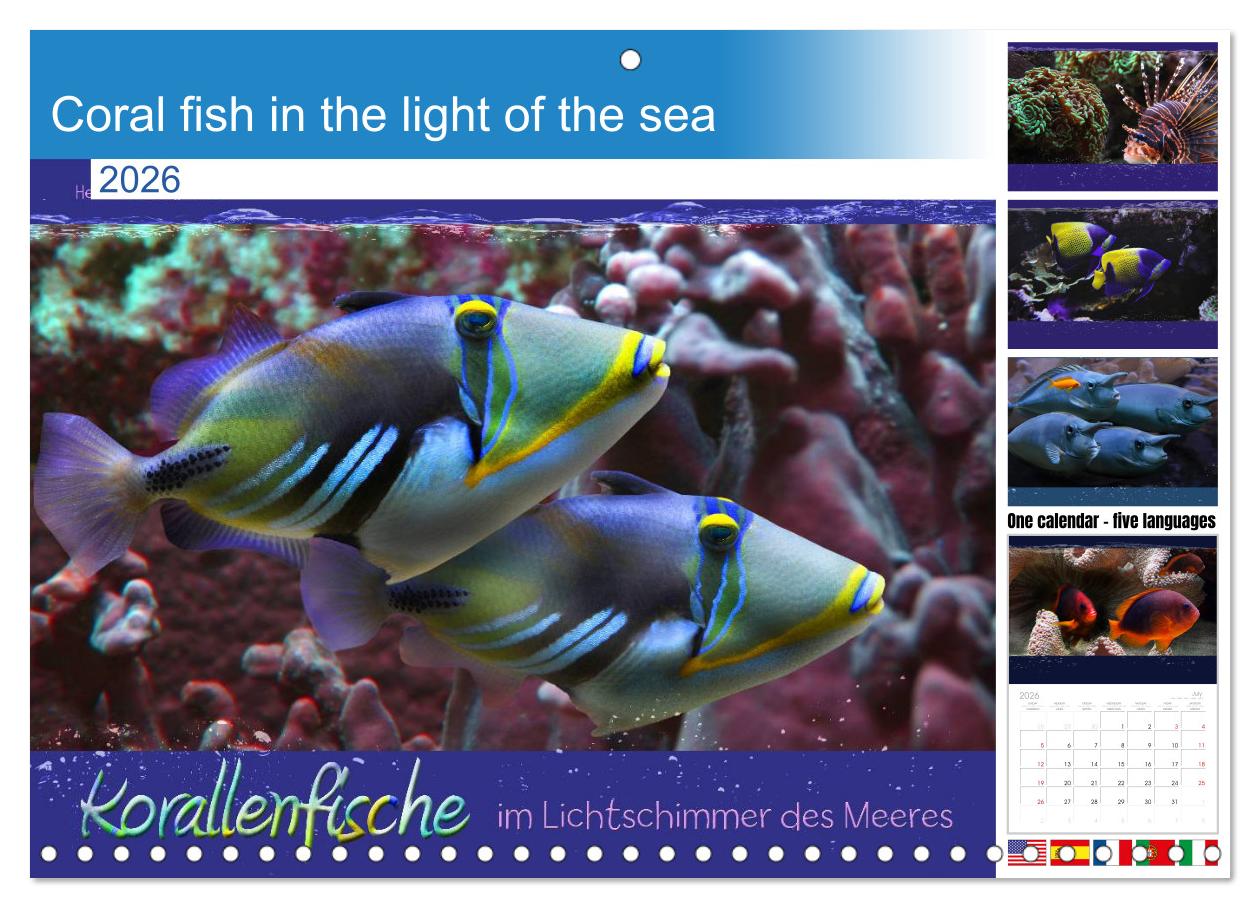 Coral fish in the light of the sea (Monthly Wall Calendar 2026 16.5 x ...