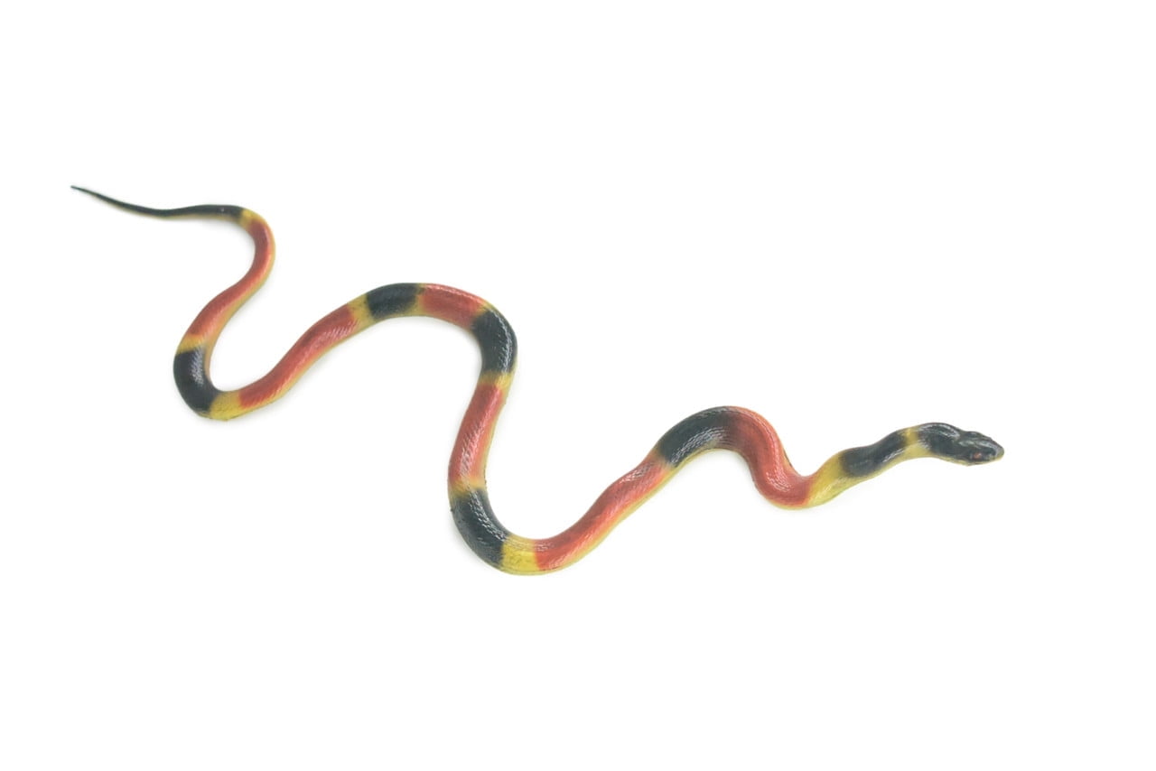 Coral snake, High Quality, Hand Painted, Hard Rubber, Realistic Reptile ...