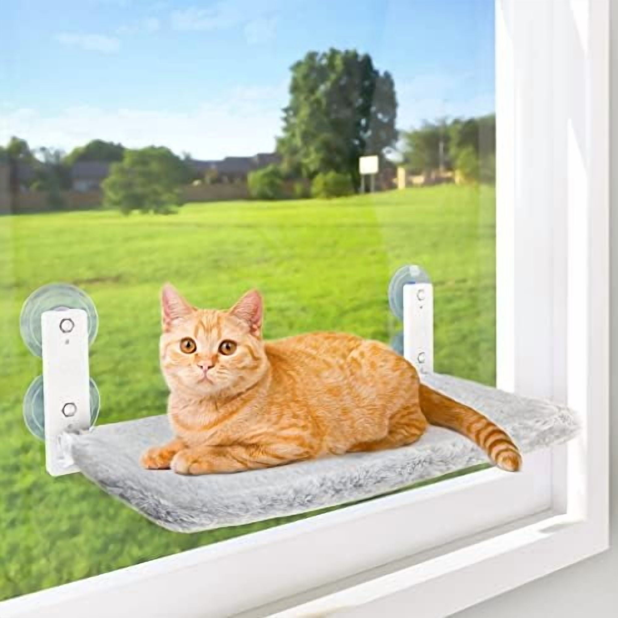 Cordless Cat Window Perch, Cat Hammock for Wall with 4 Suction Cups ...