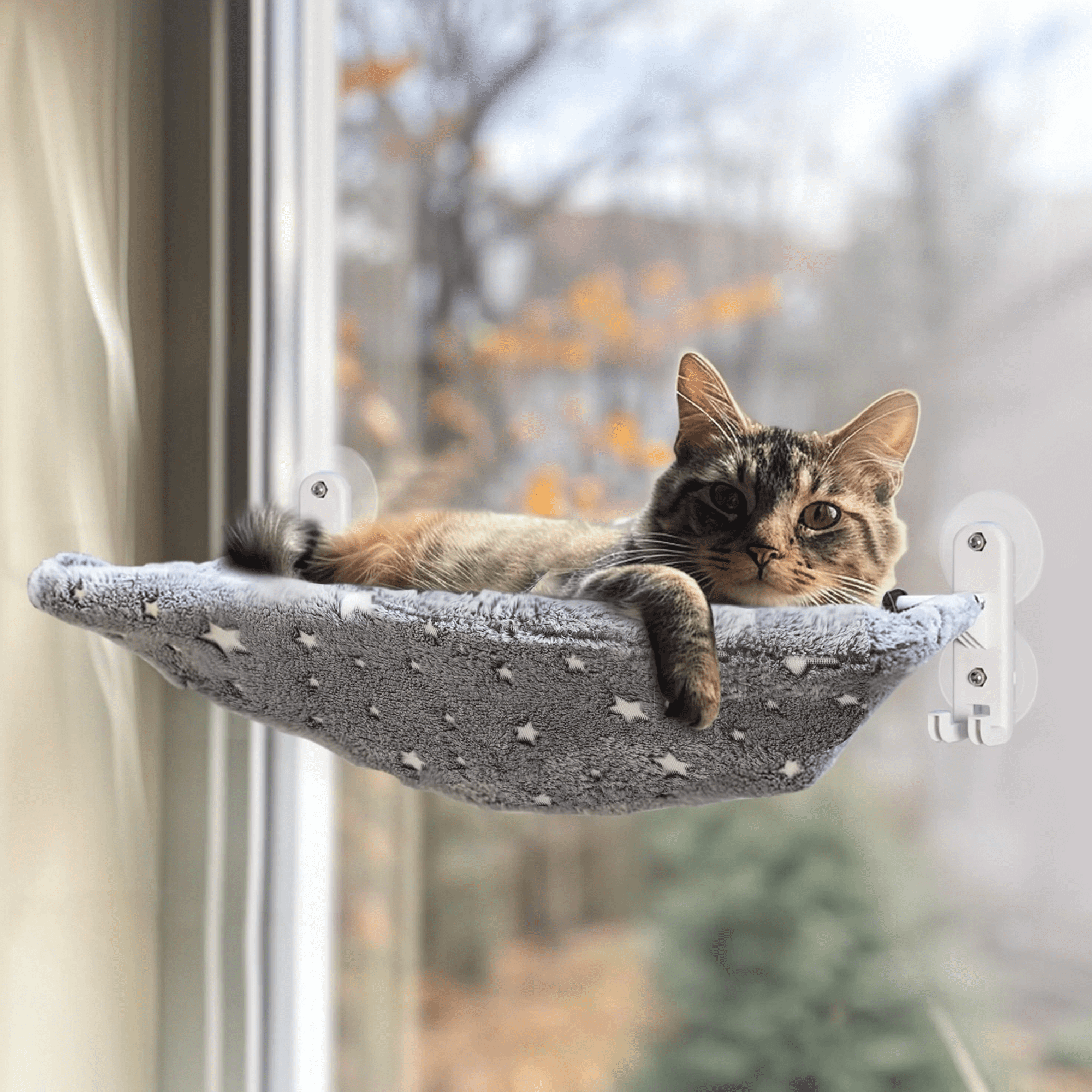 Cordless Cat Window Perch, Hammock with 4 Suction Cups, Glow in Dark ...