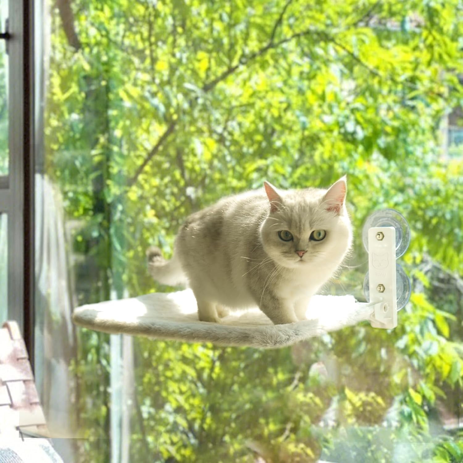 Cordless Cat Window Perch, Foldable Cat Window Hammock with 4 Suction ...