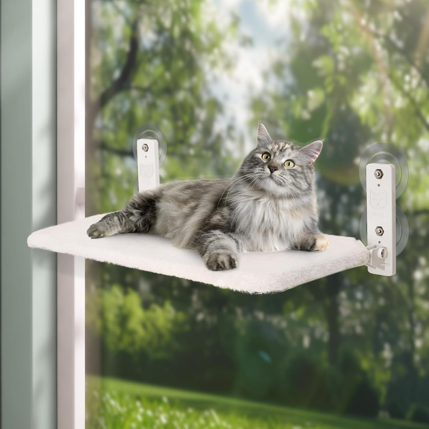 Cordless Cat Window Perch, Foldable Cat Window Hammock with Suction ...