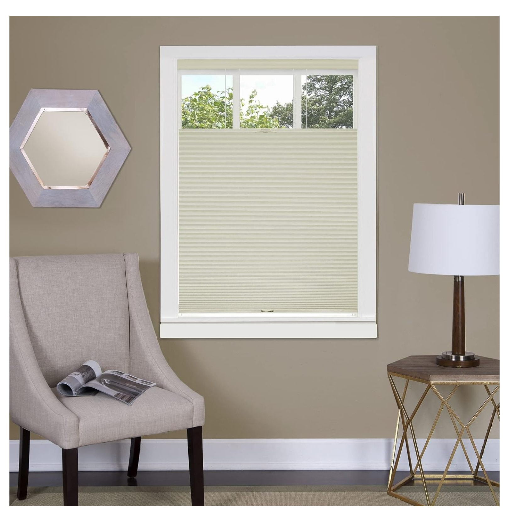 Cordless Cellular Pleated Window Shades - 36 Inch Width, 64 Inch Length ...
