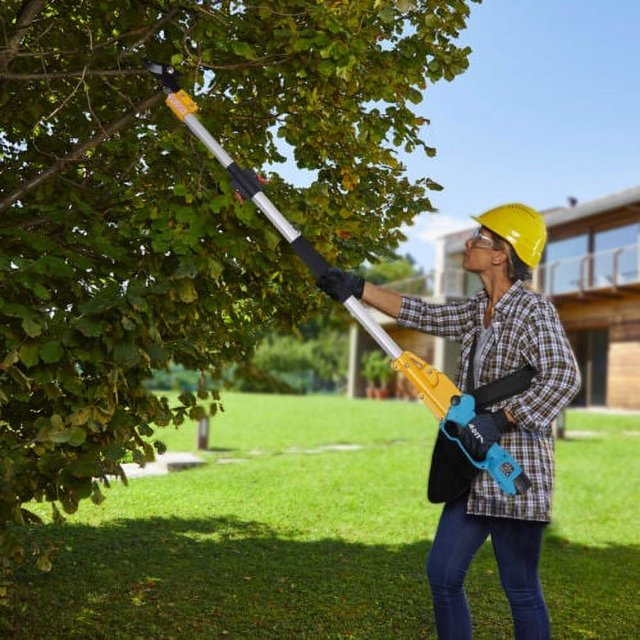Cordless Electric Pruning Shears With Extension Pole Tree Branch Cutter ...