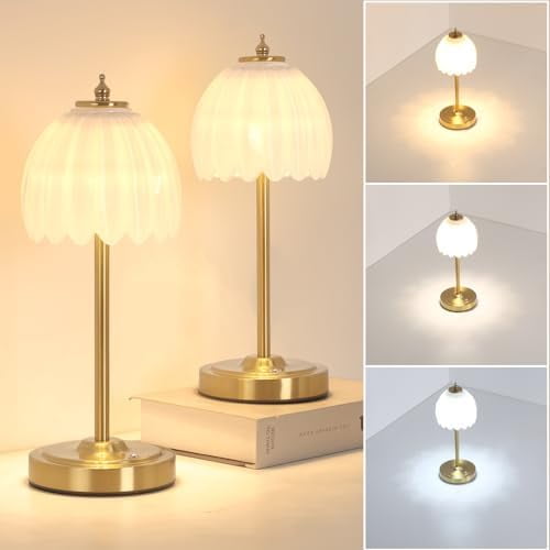 Cordless Small Table Lamp with 5000mAh Battery & Touch Control - 3 ...