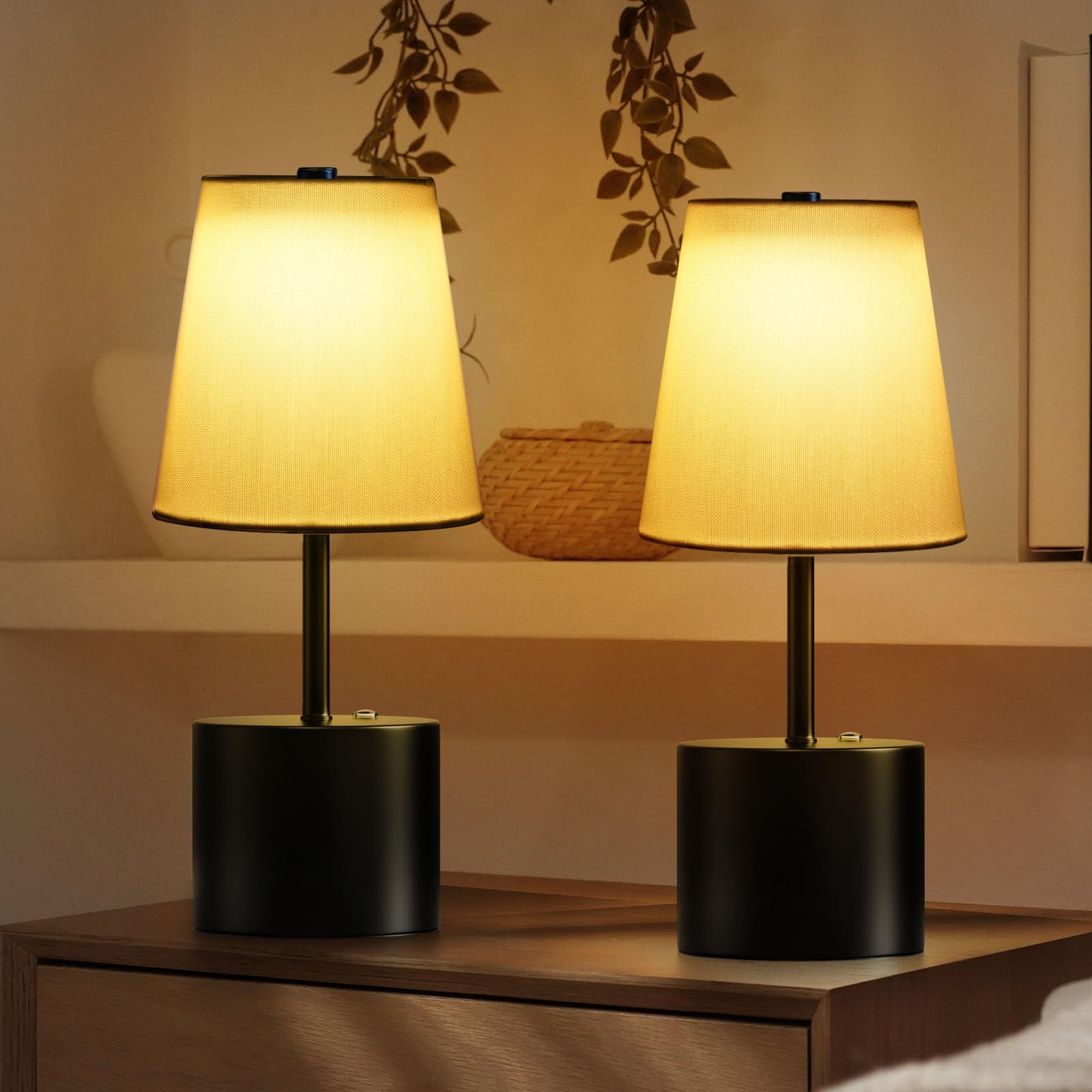 Cordless Table Lamp Set of 2, 5000mAh Rechargeable Touch Lamps with 3 ...
