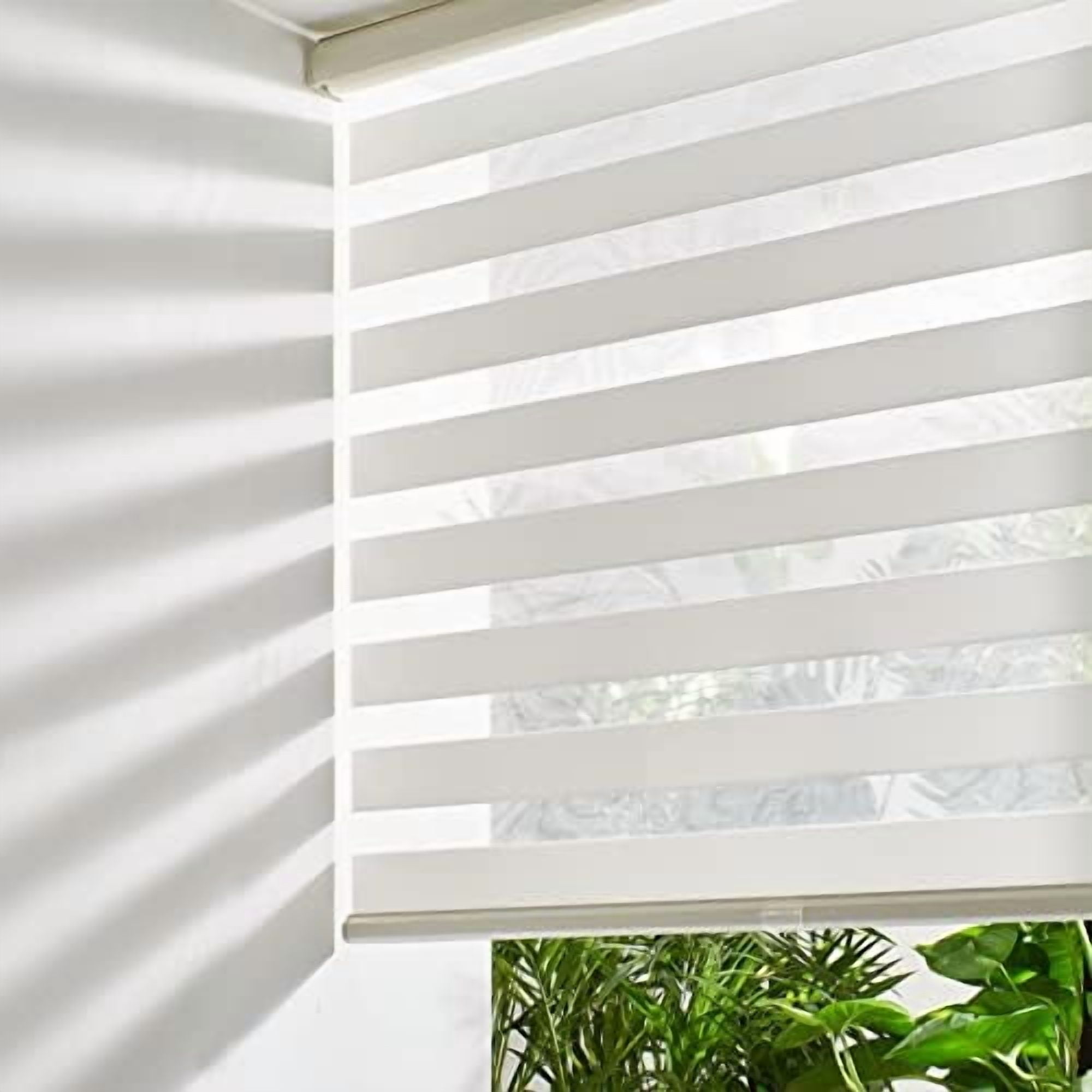 Cordless Zebra Shades (47" W X 72" H, Cream) Free-Stop Window Shades ...