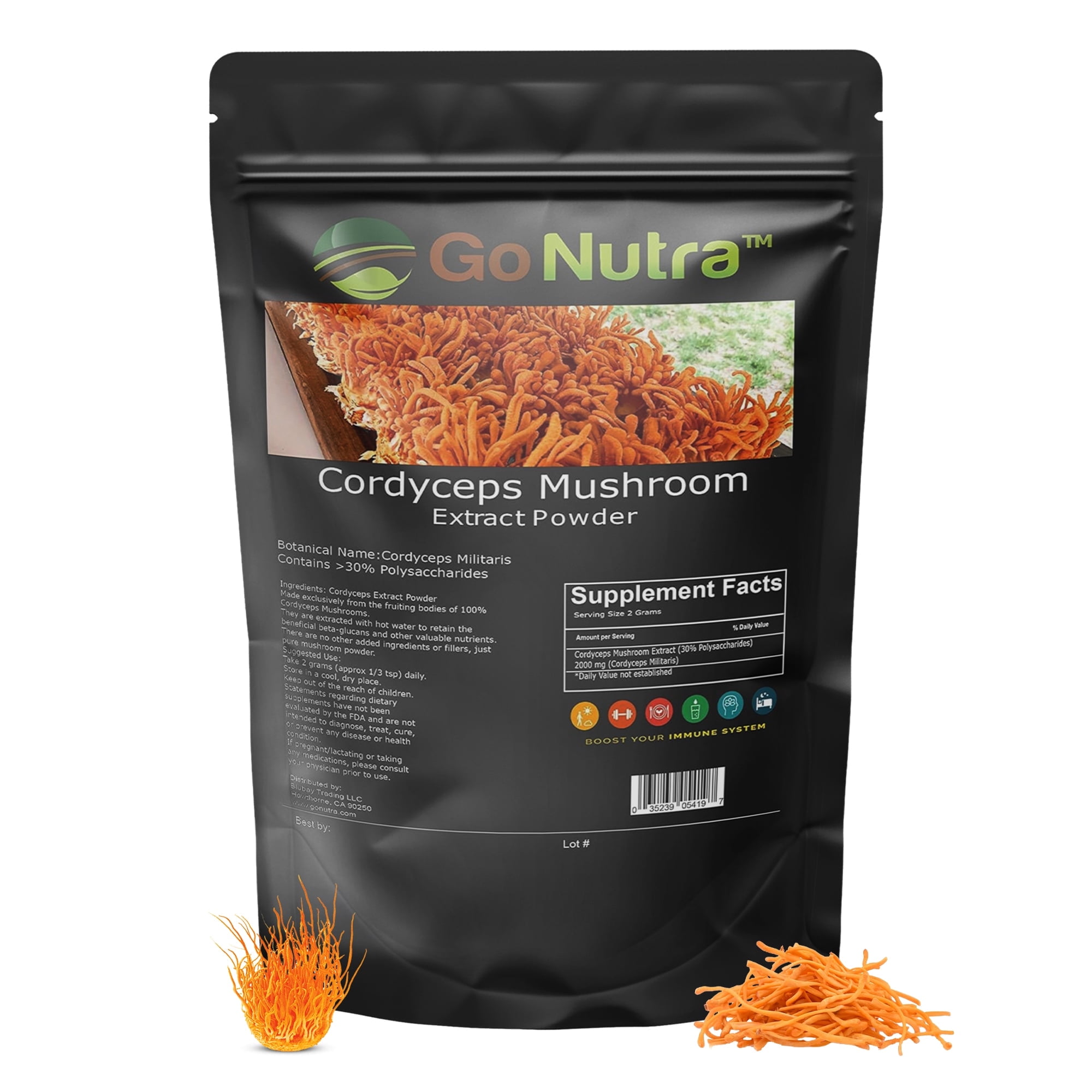 Cordyceps Mushroom Powder 4 oz - Walmart.com