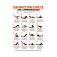 Core Stability Low Impact Back Exercise Home Workout Daily Chart Poster ...