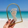 CoreLiving Double Glass Pressed Flower Frame, Vintage Gold Floating ...